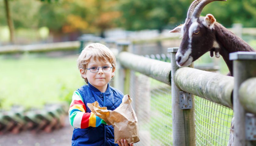 Swithens Farm - Regency Purchasing Group